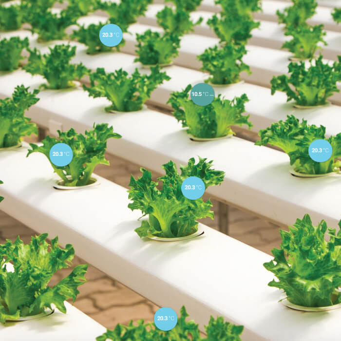 The data platform for horticulture - 30MHz