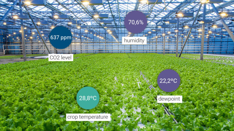 5 digital horticulture practices to bring into 2020 – 30MHz